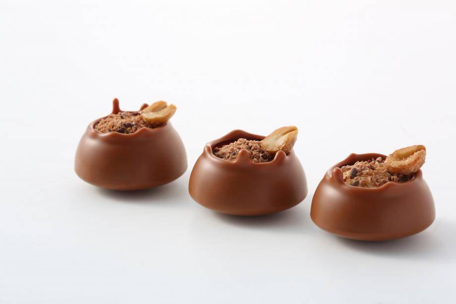 Homepage | cacao-barry.com